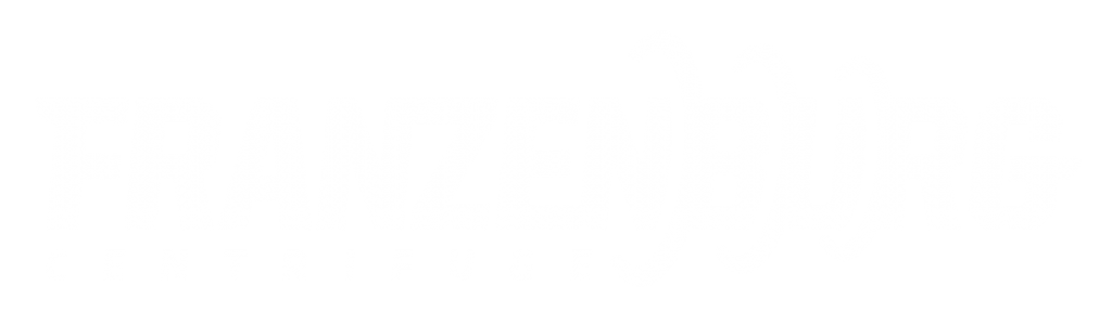 Franzenburg | We Keep You Spinning